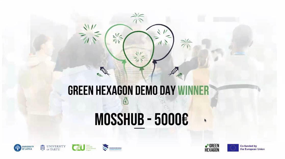 News - Green HExagon